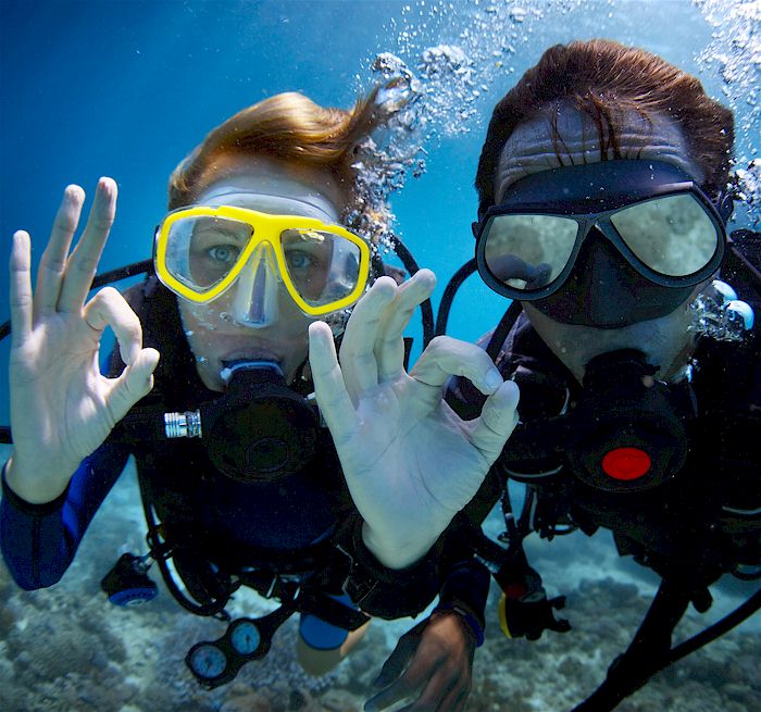 Samana Best Excursions Dominican Republic Excursion XPO Tours Online