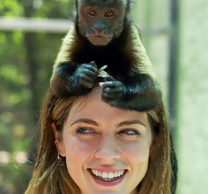 Monkey Sanctuary Tour | Akumal, Mexico Excursions Xpotour Online Booki